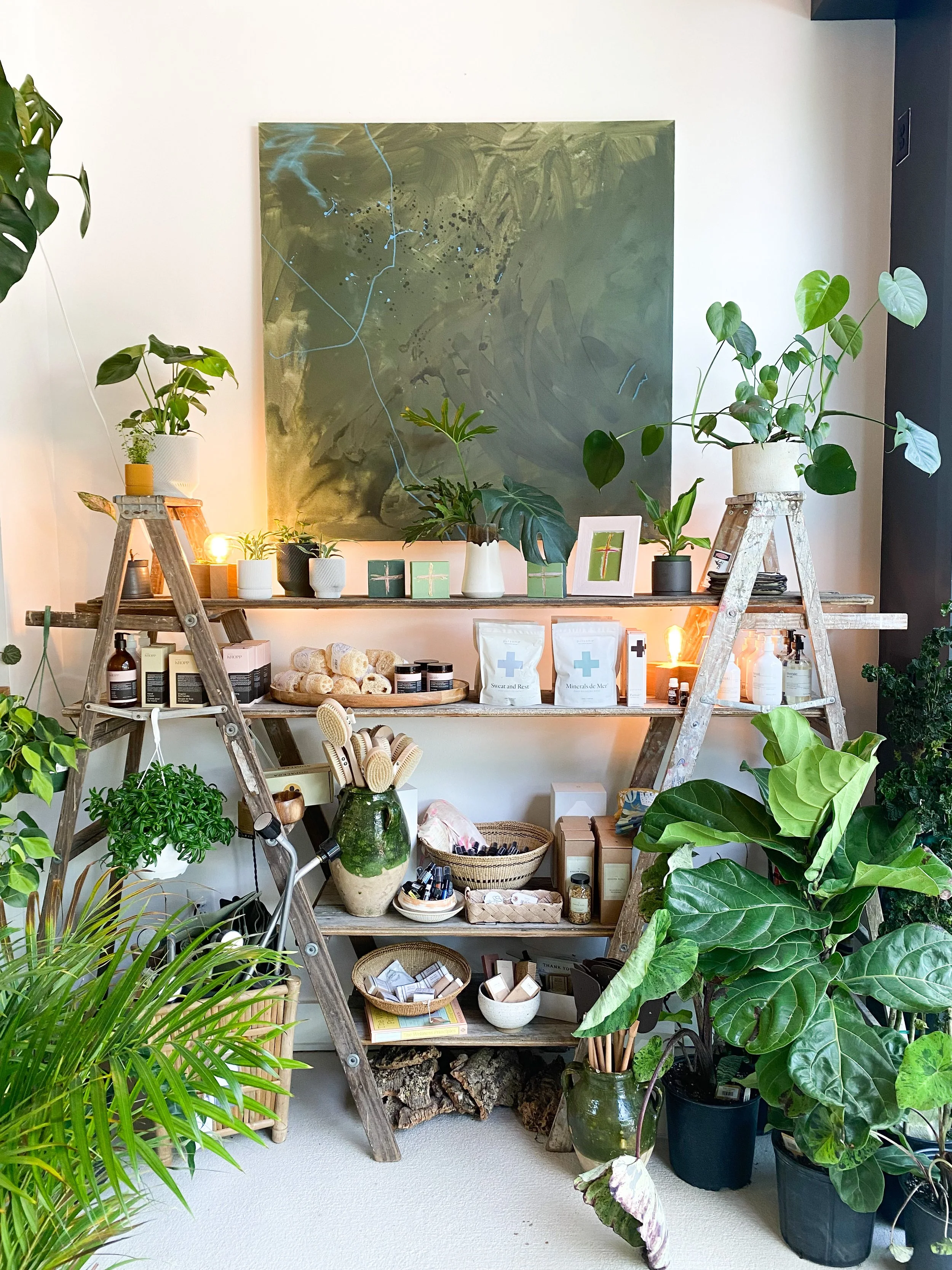 shelby hamilton art | design