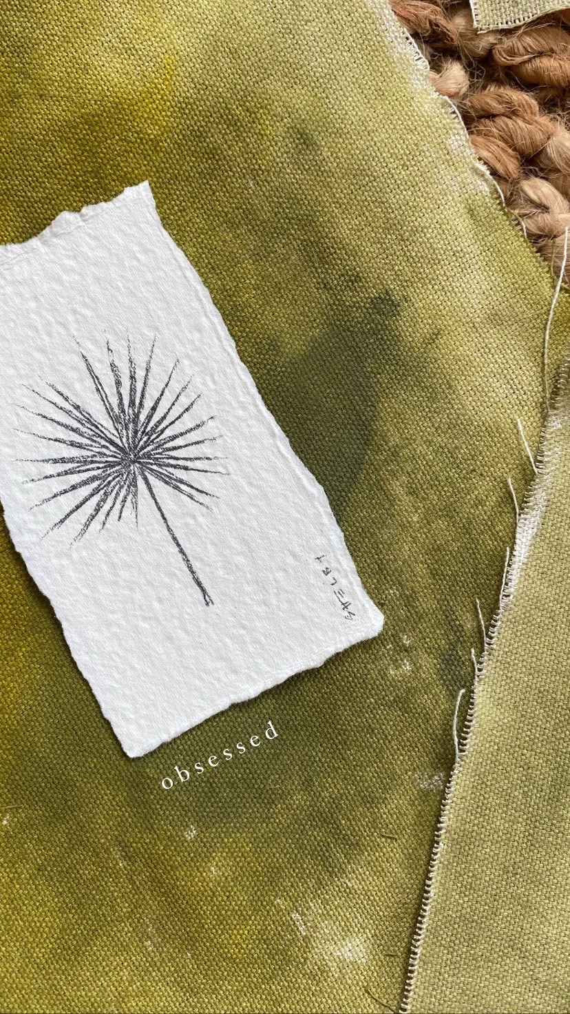 shelby hamilton art | design