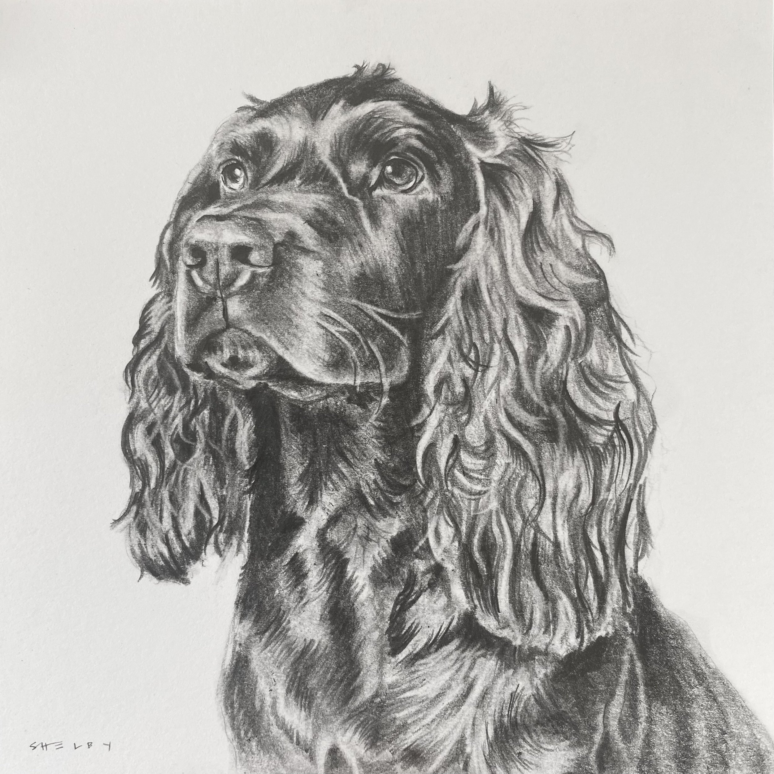 Shelby Hamilton | Contemporary Artist