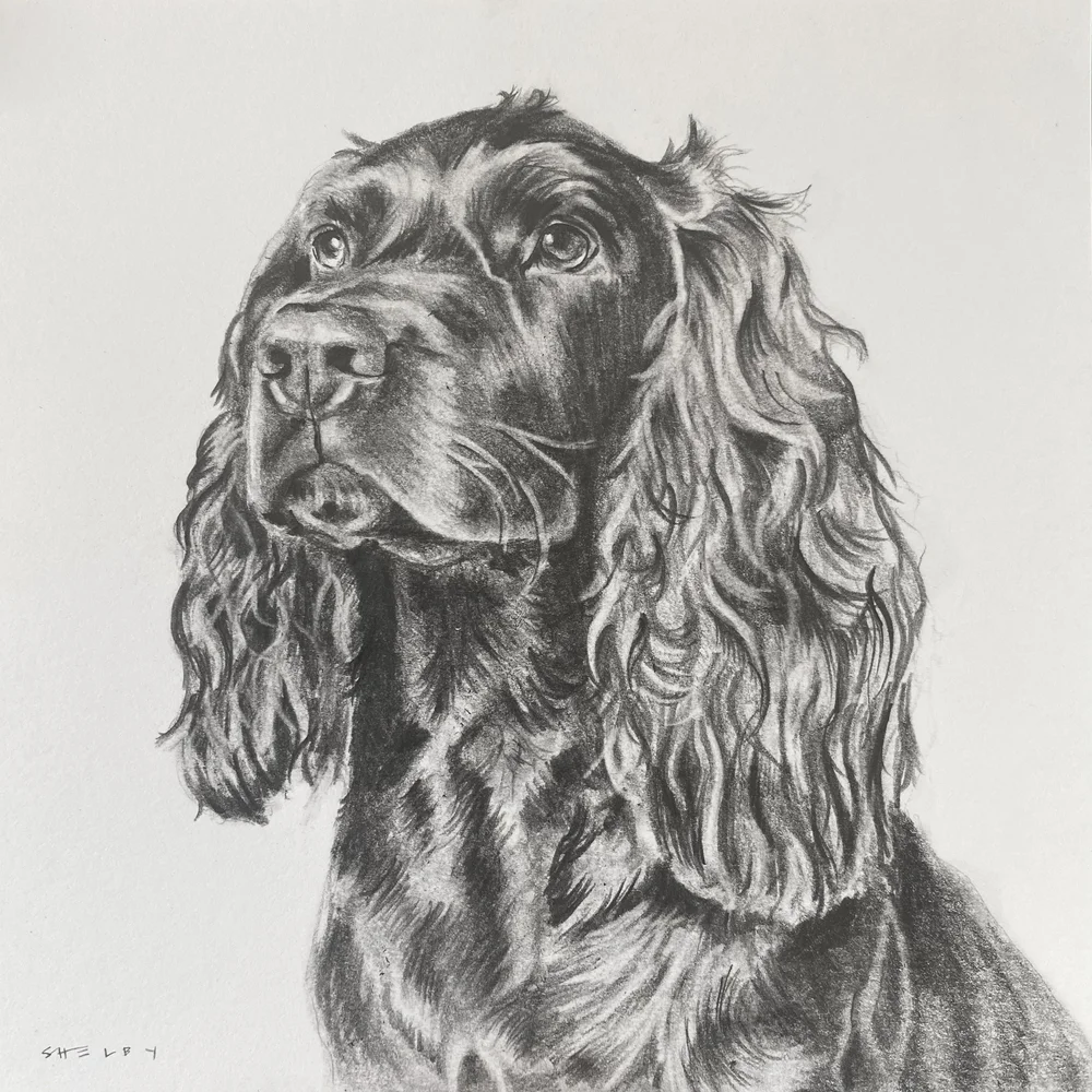 shelby hamilton art | design