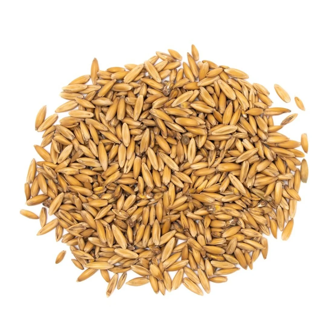 Our Malted Grains — Skagit Valley Malting