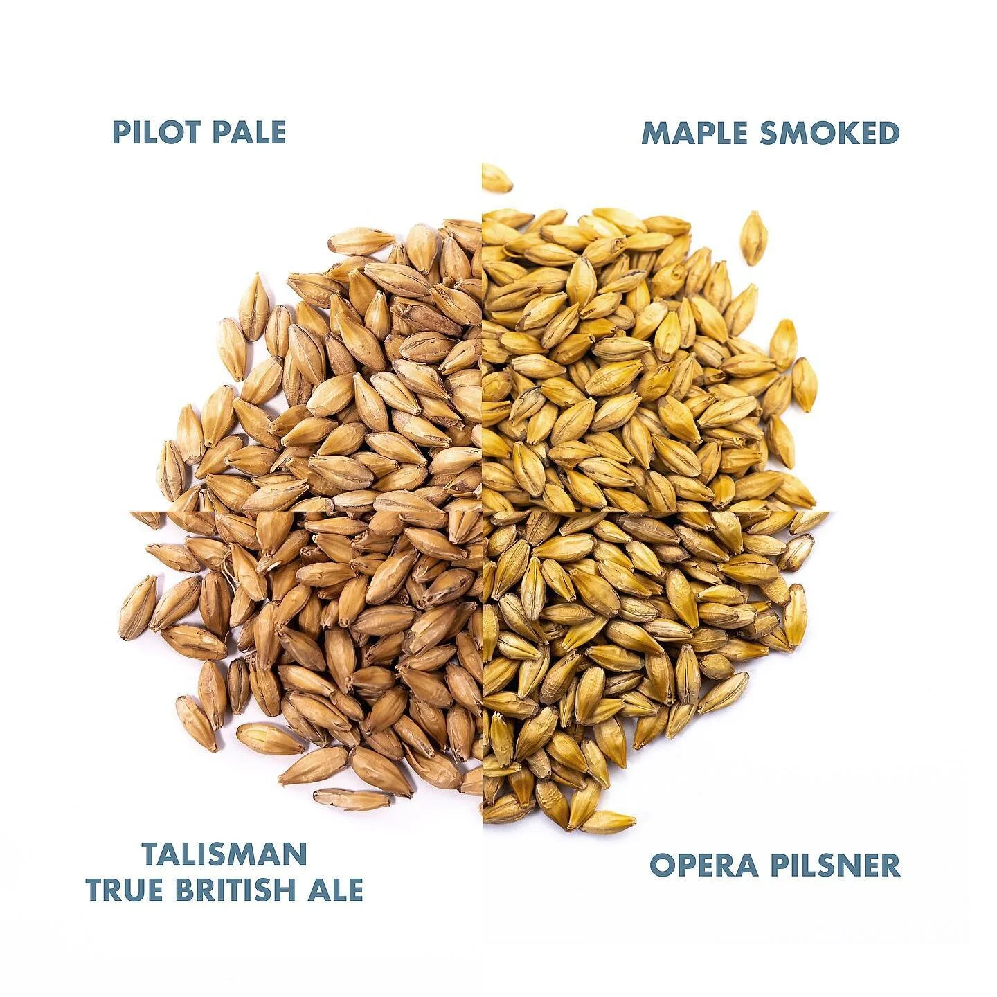 Smoked Malts — Skagit Valley Malting