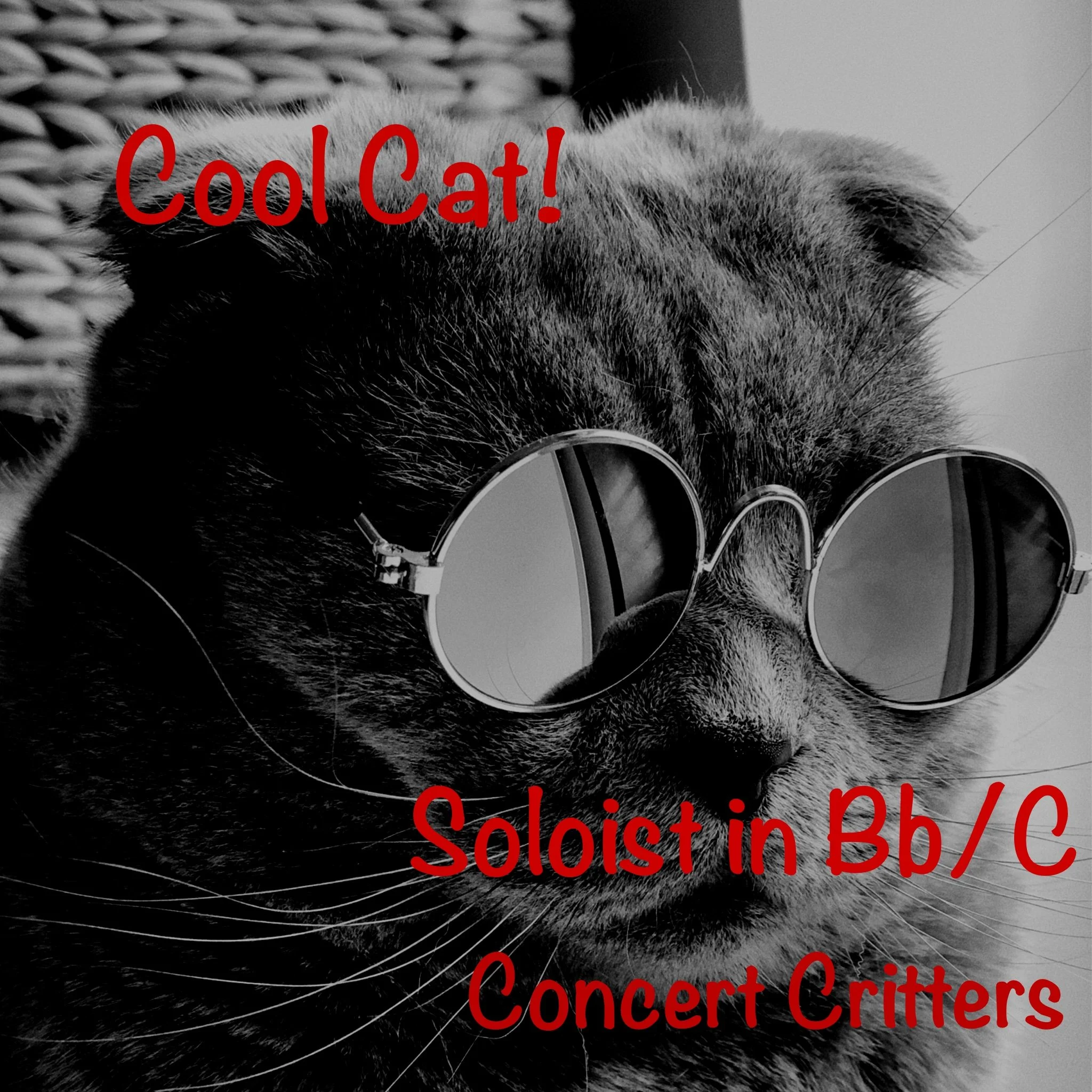 Cool Cat! - Solo for Bb/C Instruments — Dale Vail