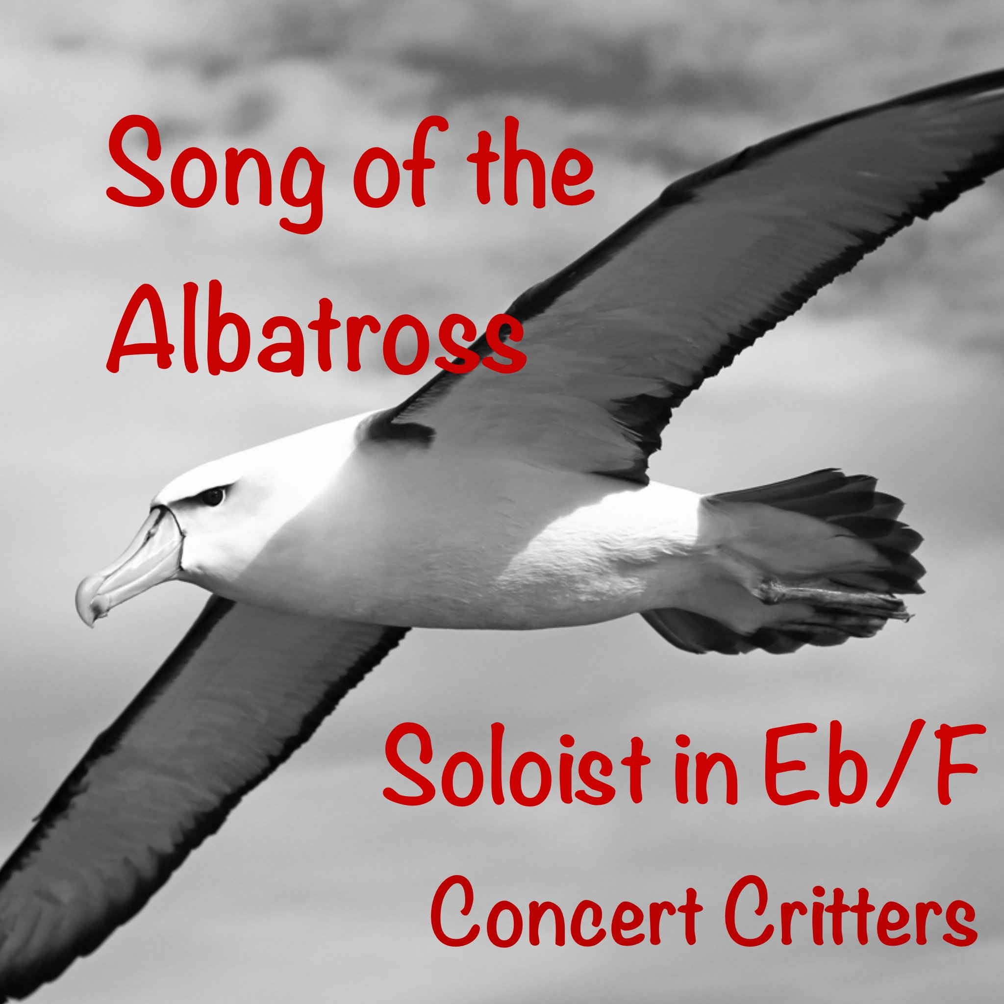 Song of the Albatross - Solo for Bb/C Instruments — Dale Vail