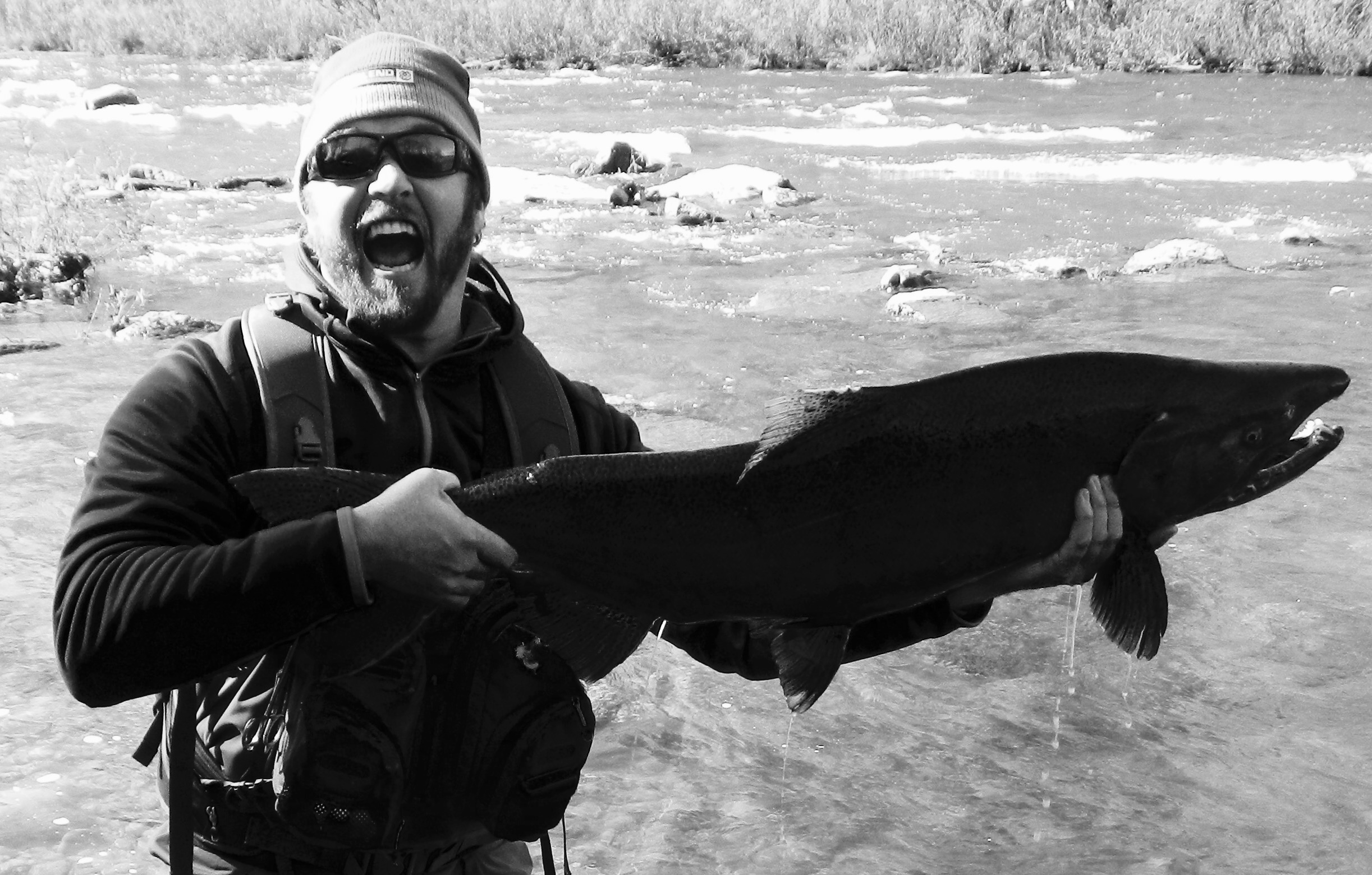 Gallery - A.L. Poland