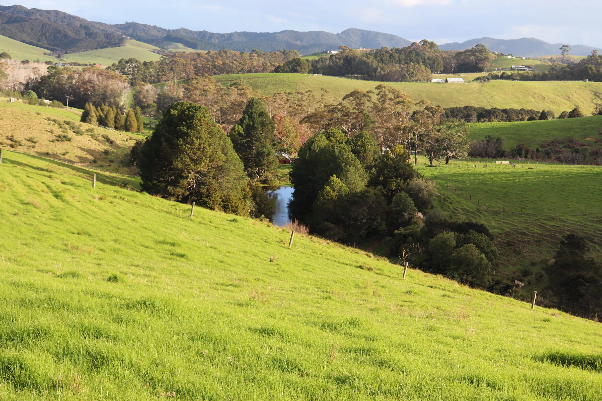 Trees and Rolling Hills - Lesson Notes — Samuel Earp Artist