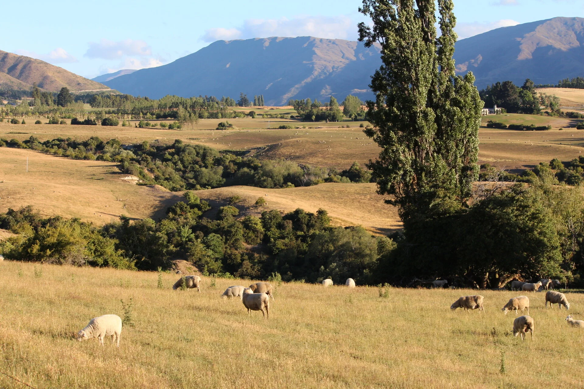 Rural Landscape - Lesson Notes — Samuel Earp Artist