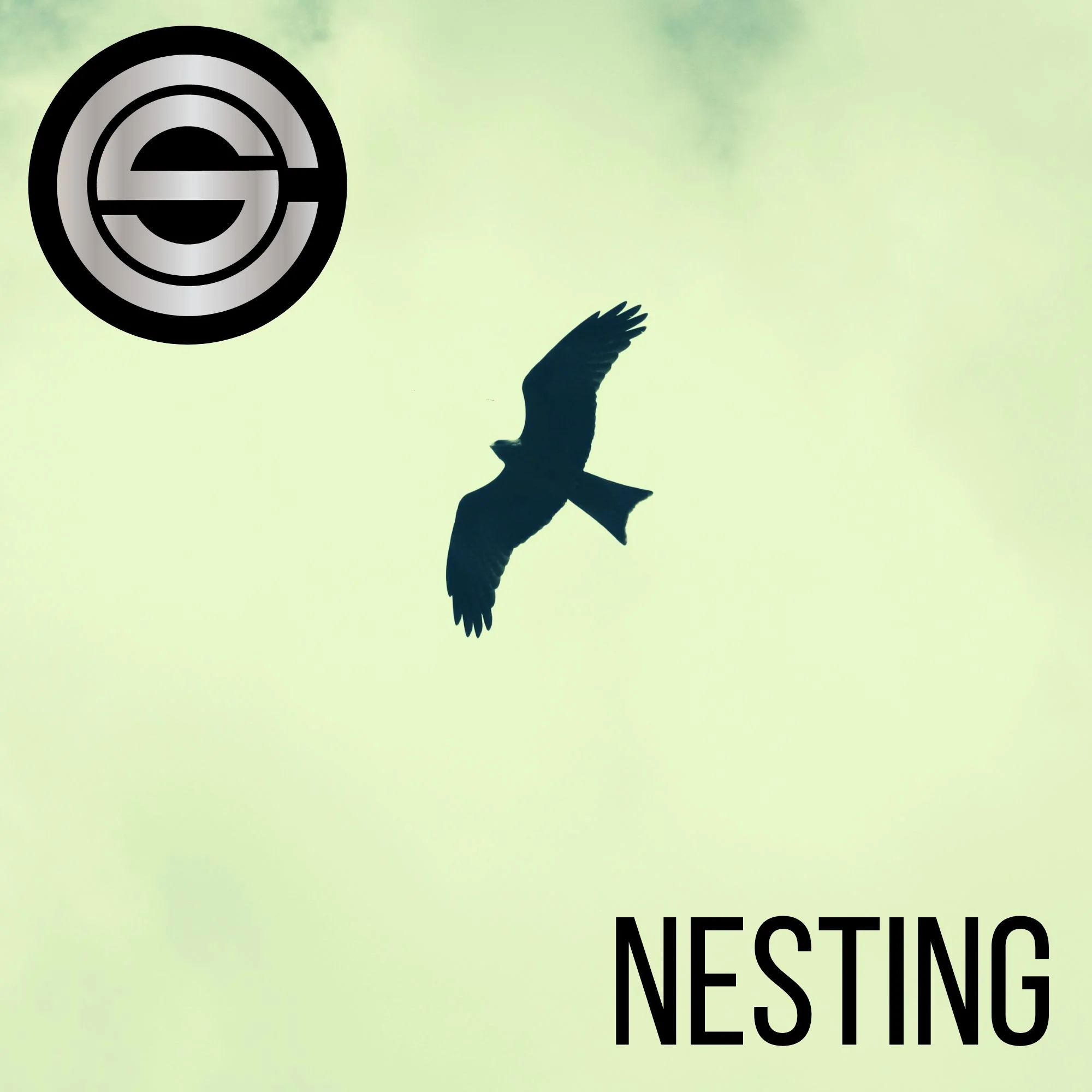 Soul Motivation Records | Nesting Is Here!