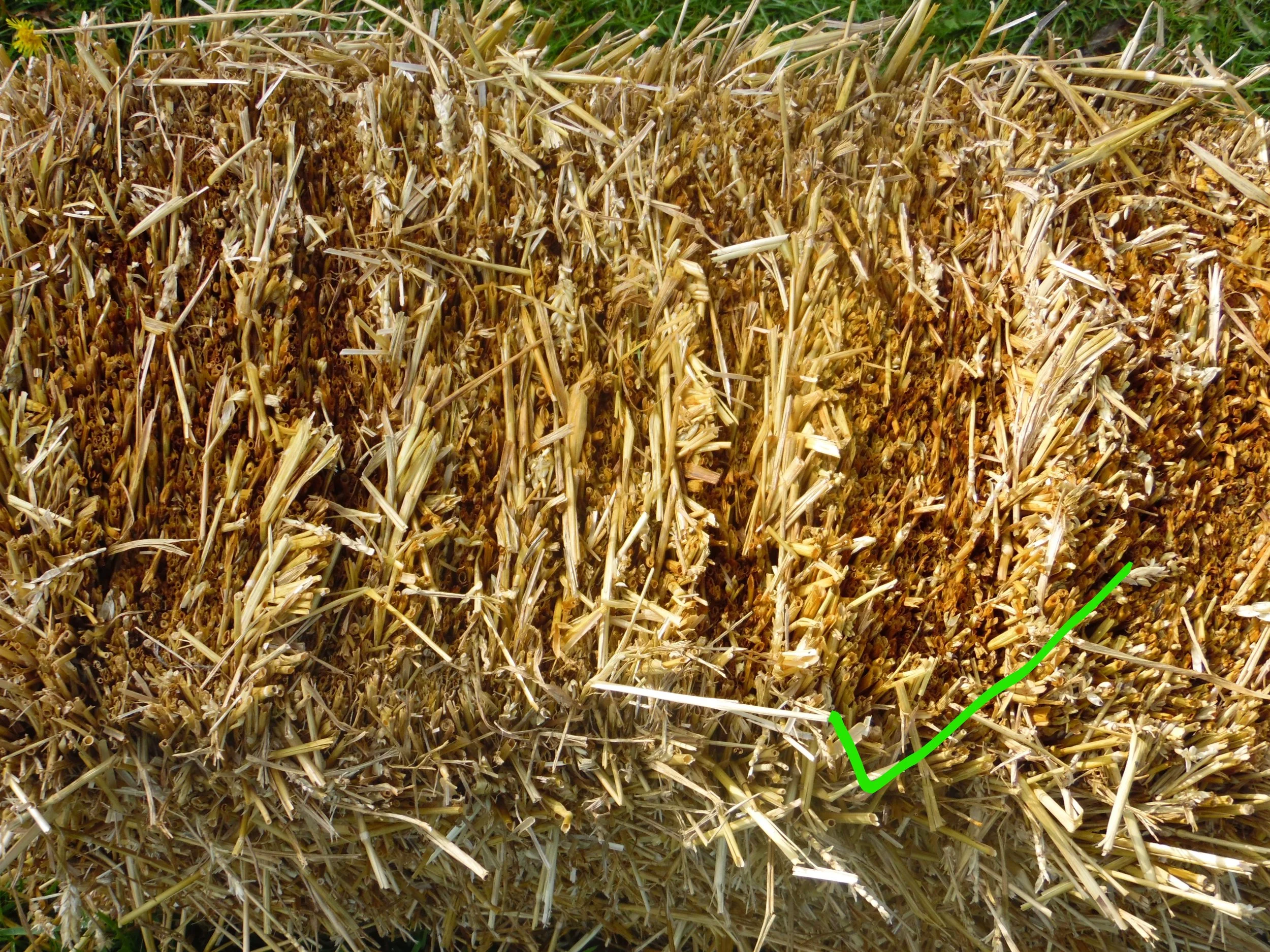 Strawbale Gardening Moving Forward. 3. — StrawbaleVeg UKStrawbalevegUK ...