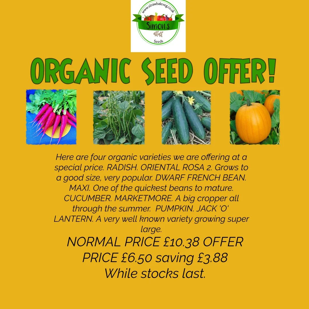 Organic Seed Offer. — StrawbaleVeg UKStrawbalevegUK-Learn how to garden ...