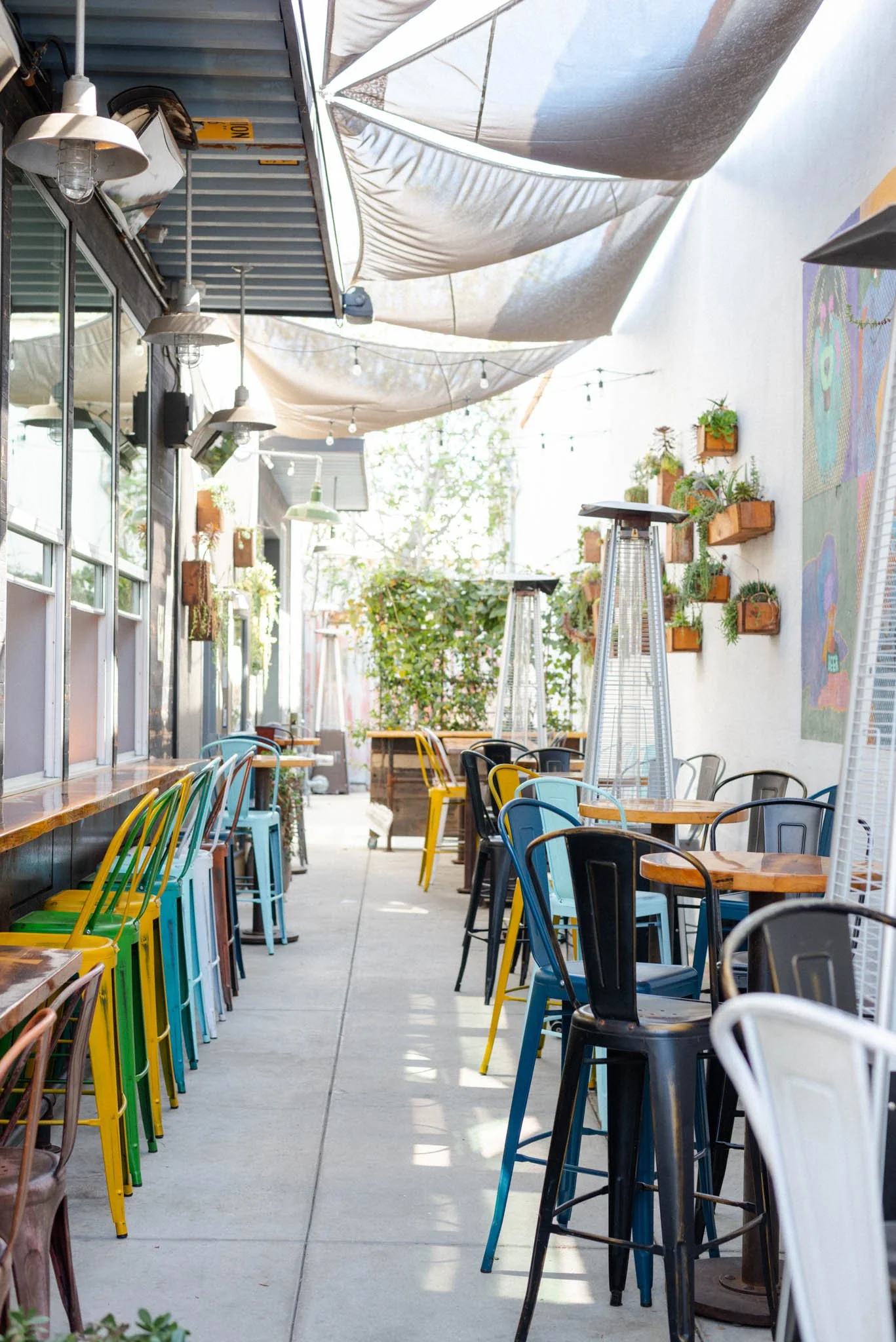 Private Events at Lama Dog