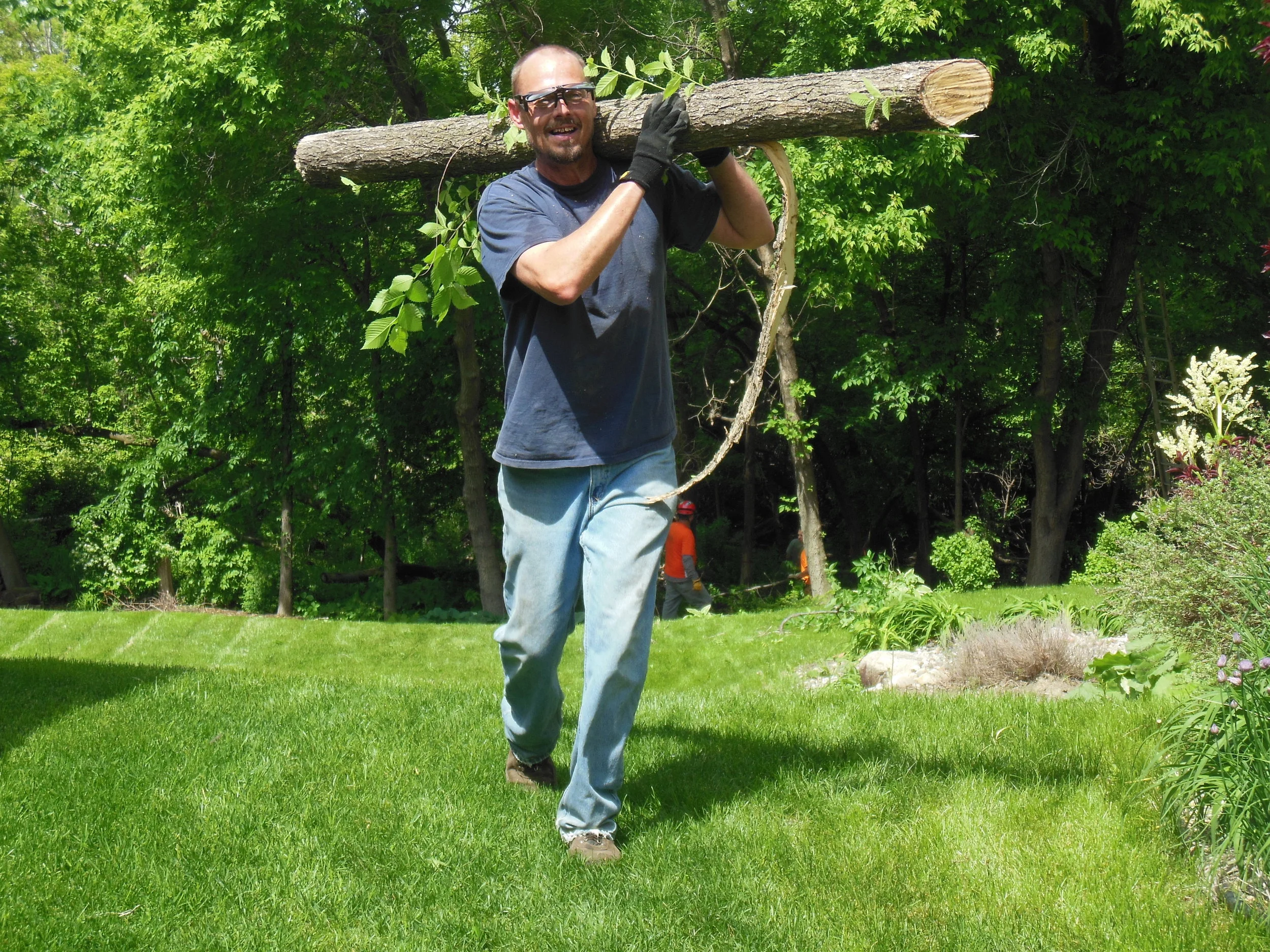 Contact — Shadywood Tree Experts and Landscaping