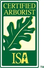 Shadywood Tree Experts and Landscaping