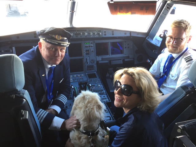 VERITY SMITH I DRESSAGE