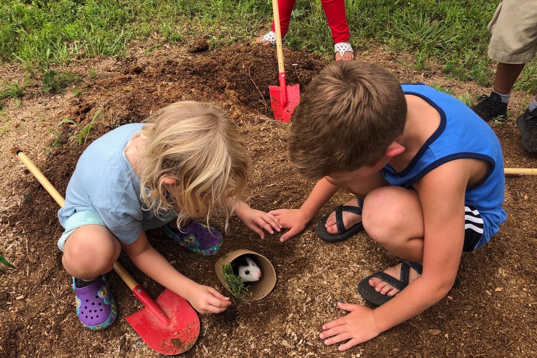 Summer Day Camp | Outdoor Nature Camp | Wildrock — Wildrock | Nature ...