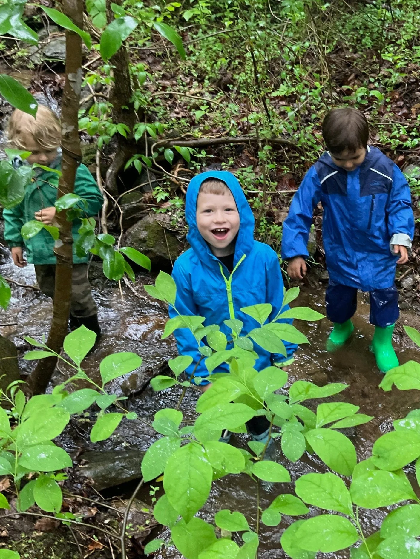 Reservations | Nature Park and Playground | Wildrock — Wildrock ...