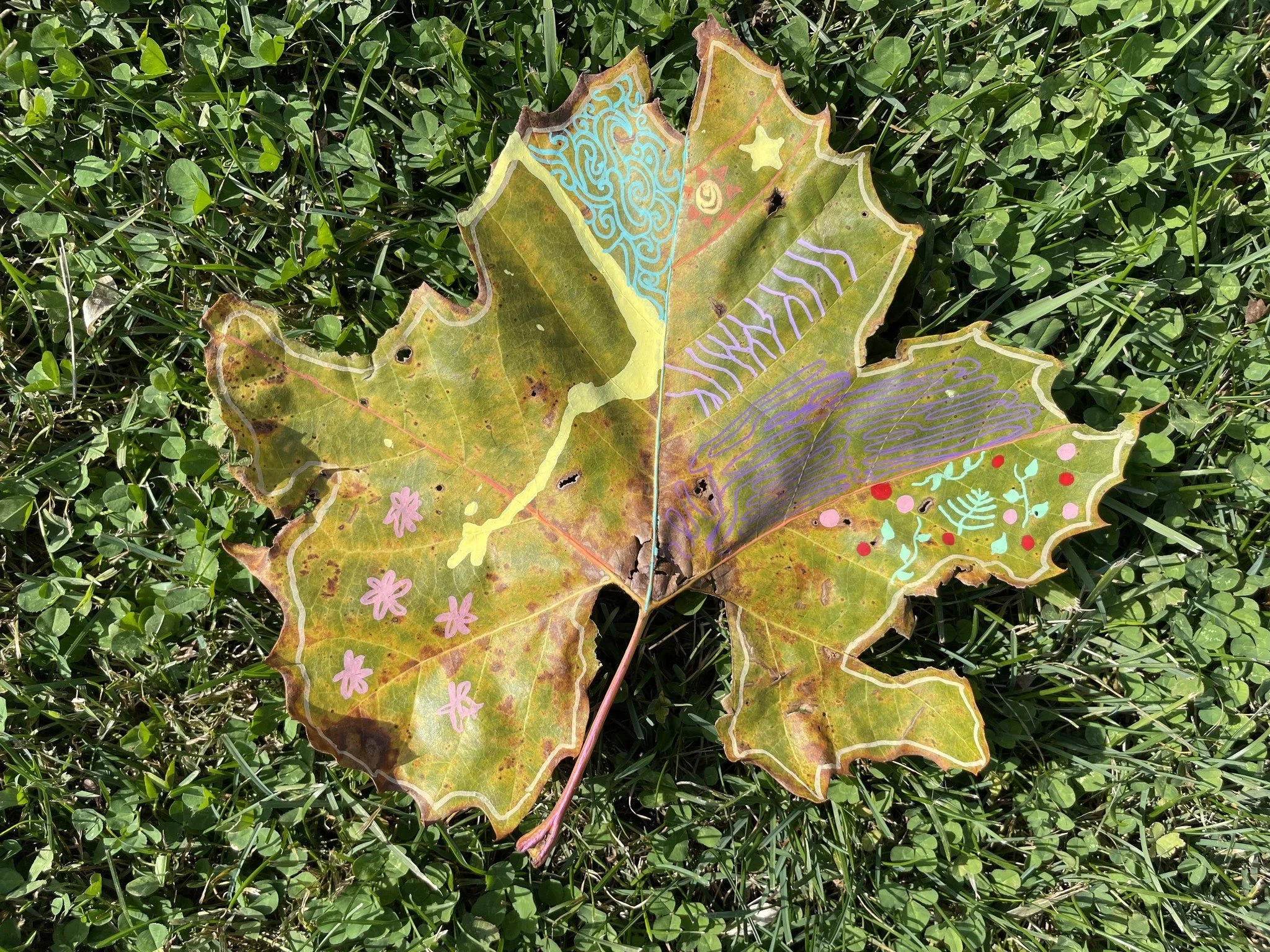 Summer Day Camp | Outdoor Nature Camp | Wildrock — Wildrock | Nature ...