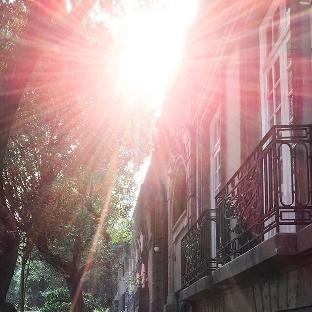 Sobre mí - Visual Bloom | Branding y diseño web en Squarespace