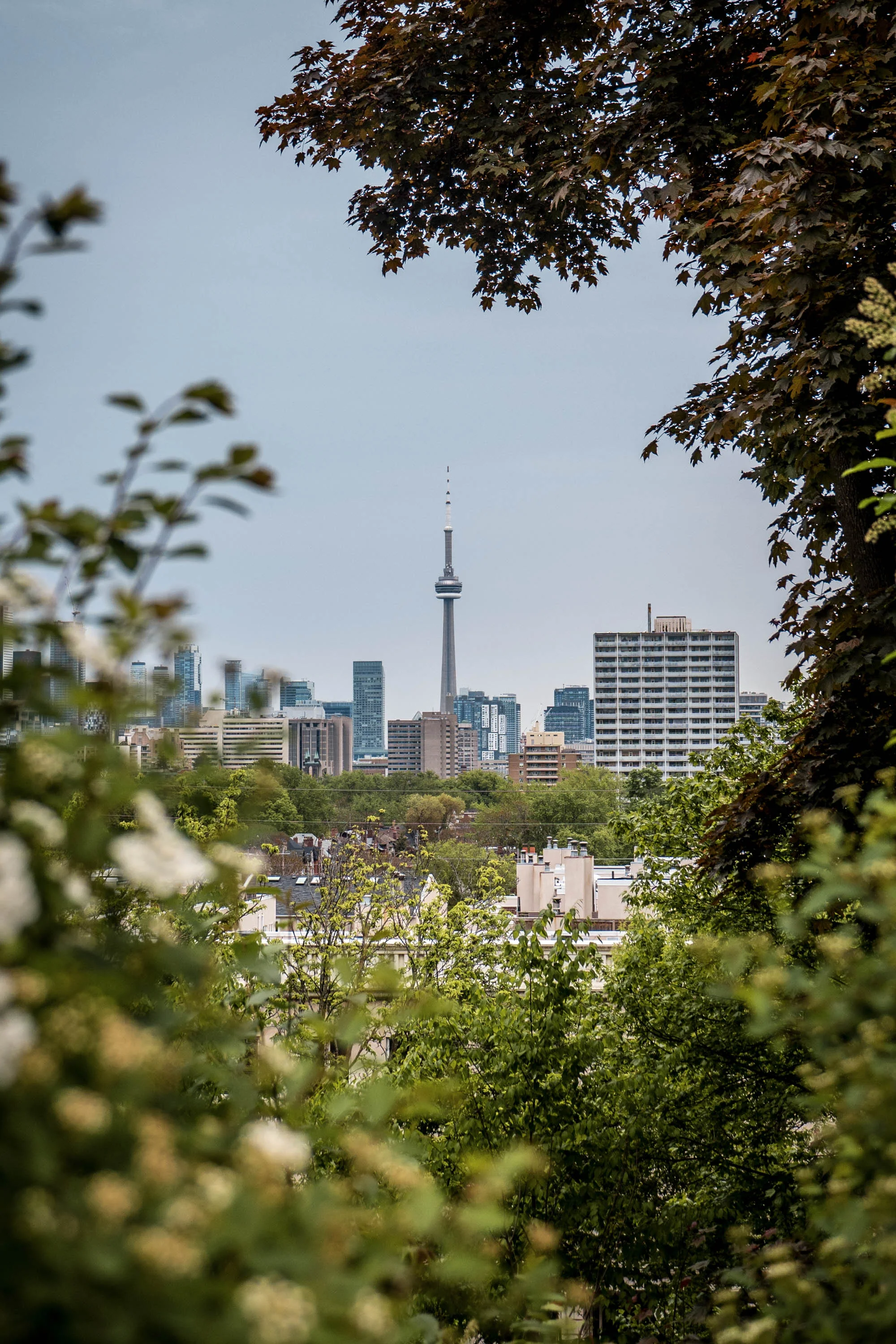 How to Make the Most of your Toronto CityPASS - Feather and the Wind ...