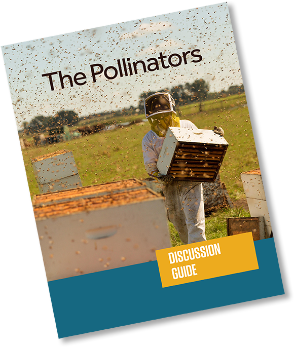 How to Watch — The Pollinators