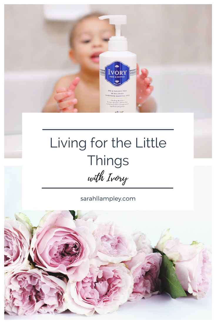 Living for the Little Things — Sarah Lampley