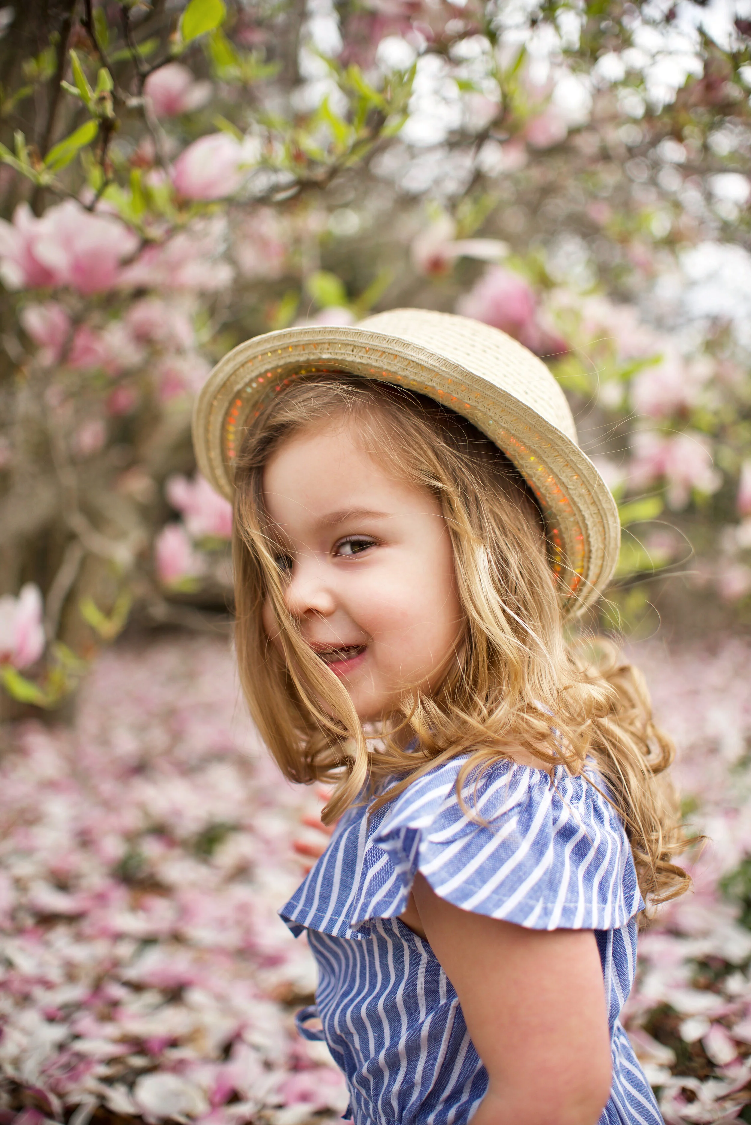 Blog — Palmetto Snapshots