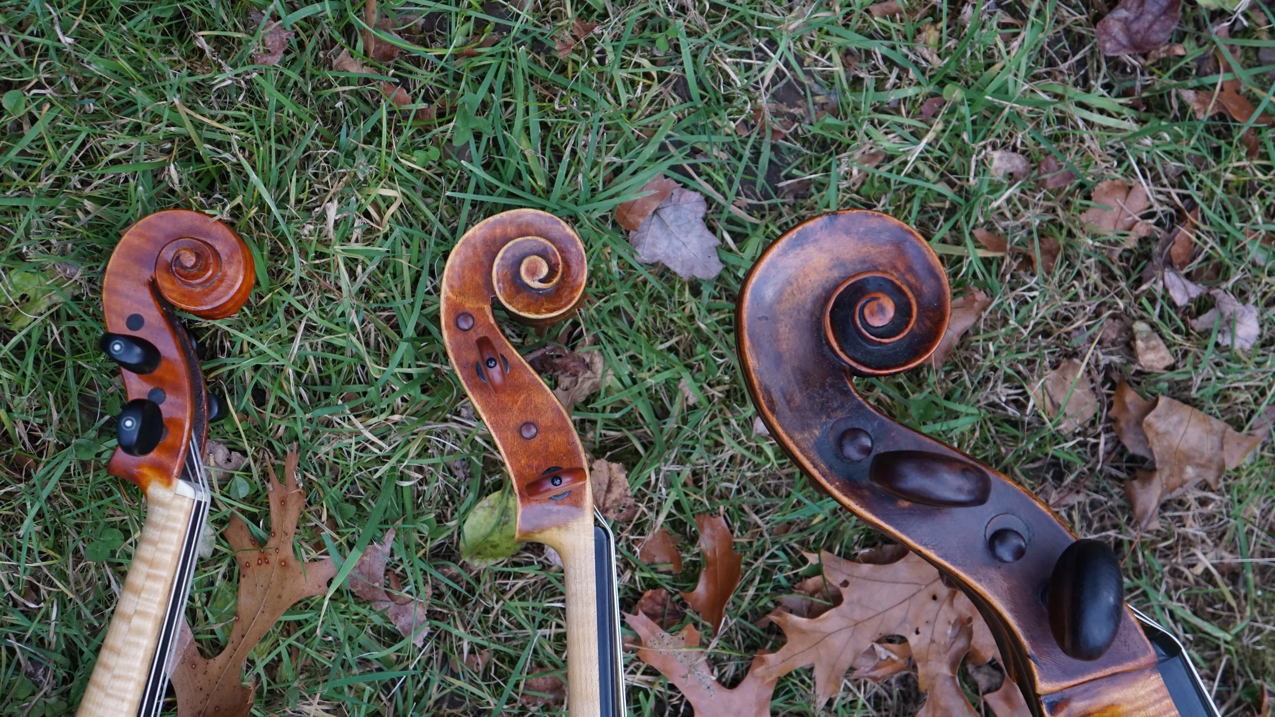 Folk Baroque Trio — Emily Rideout • viola