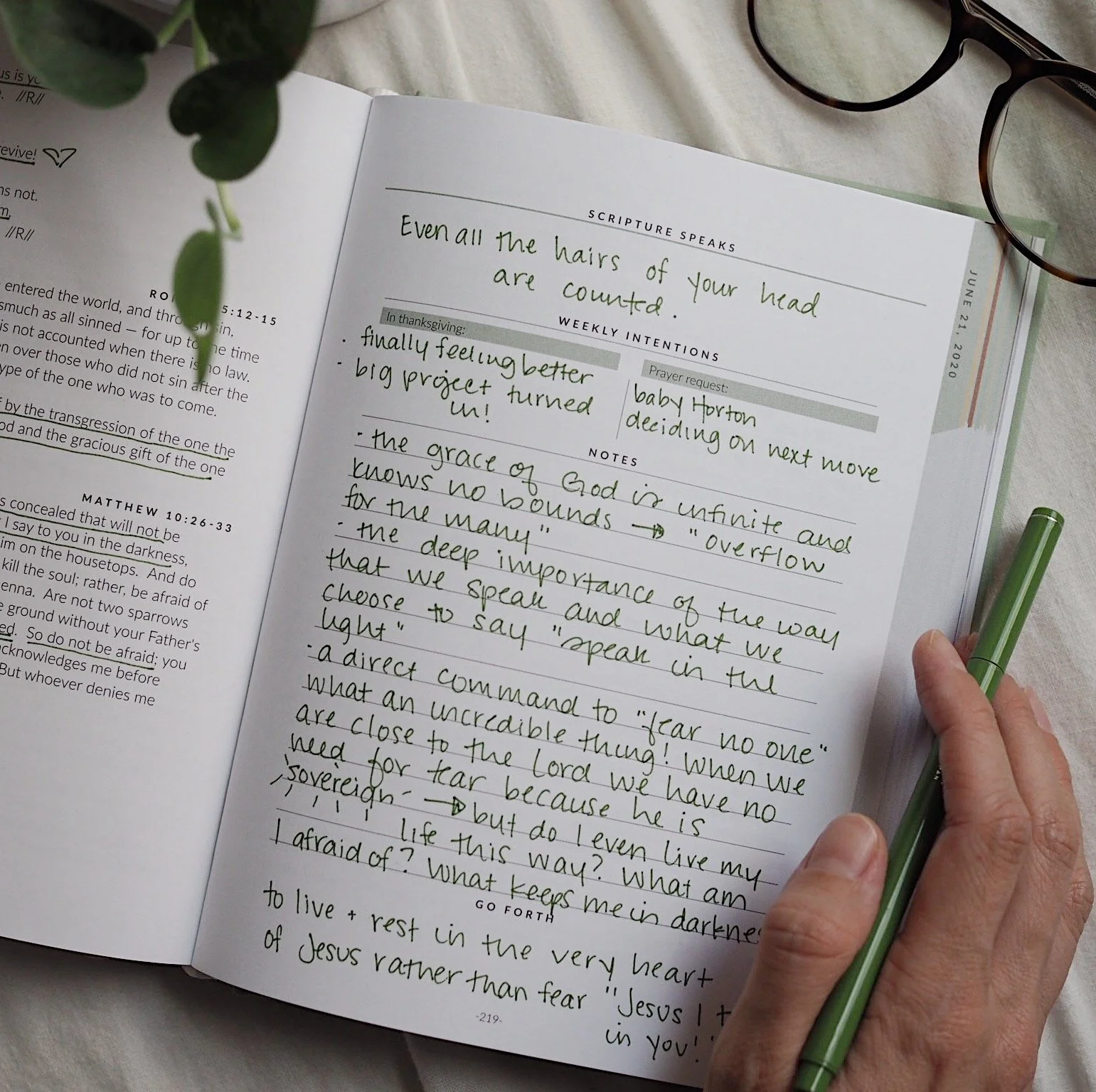 Every Sacred Sunday | Catholic Mass Journals