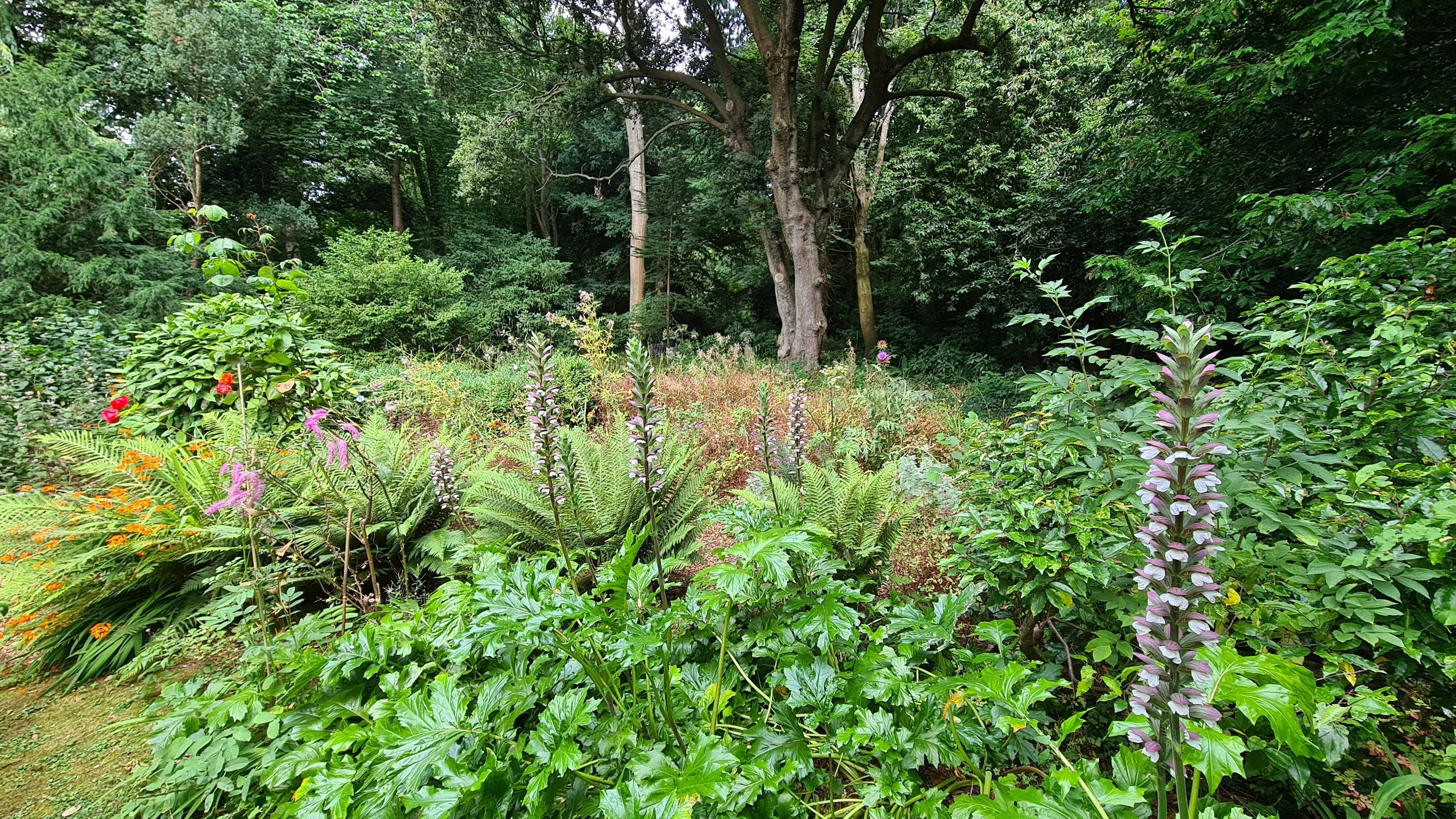 Corke Lodge — Alfred Cochrane