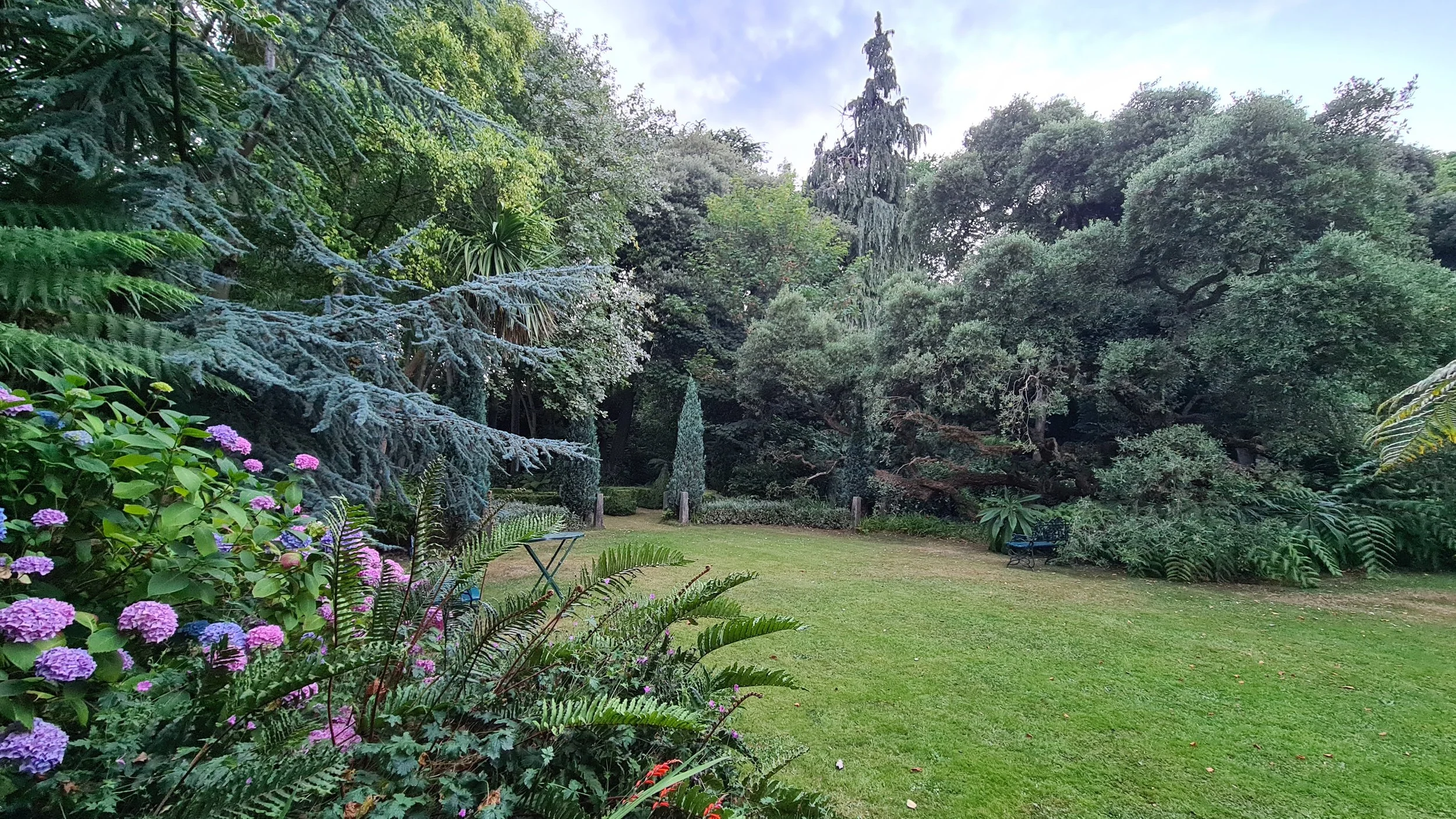 Corke Lodge — Alfred Cochrane