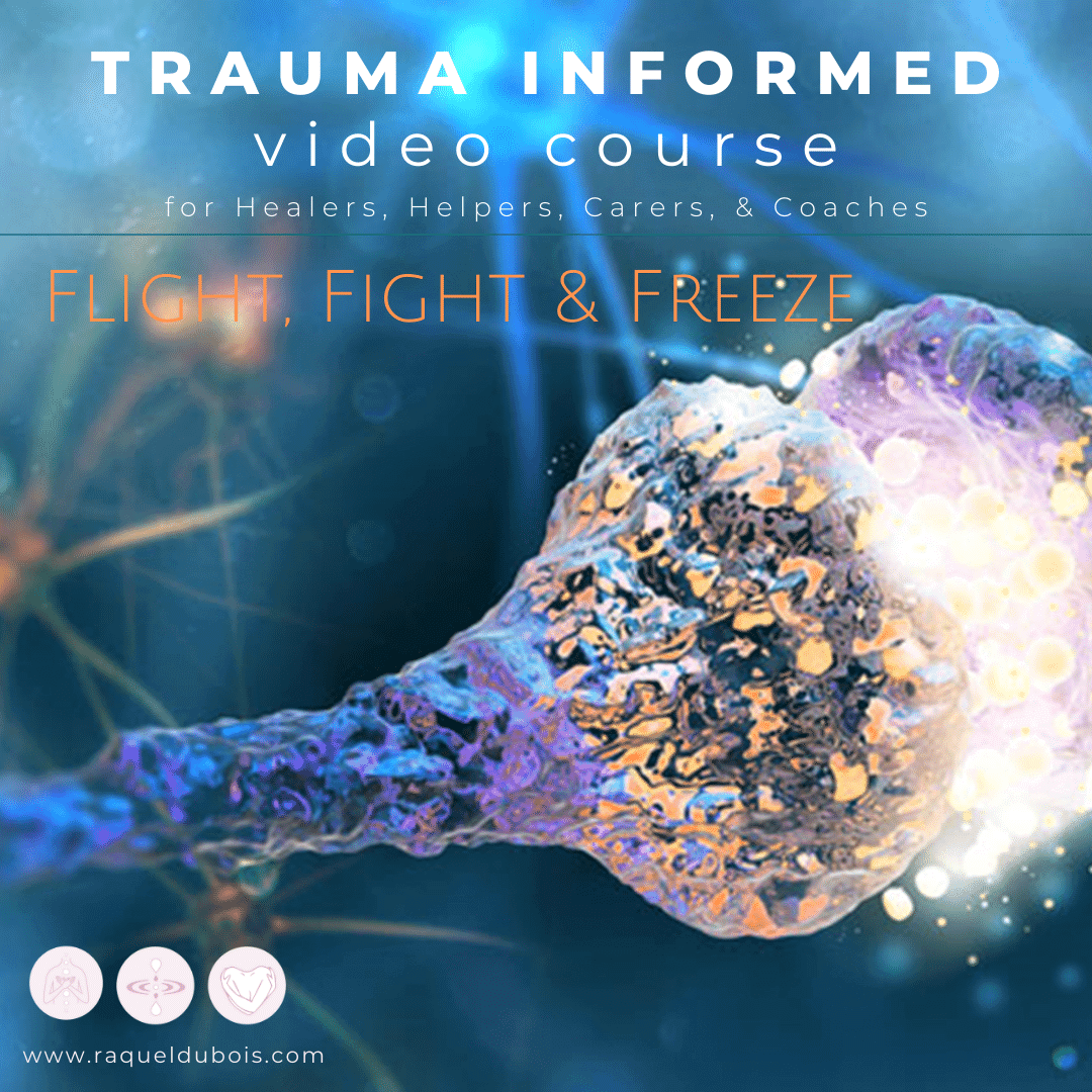Trauma Informed Education for Coaches and Healers