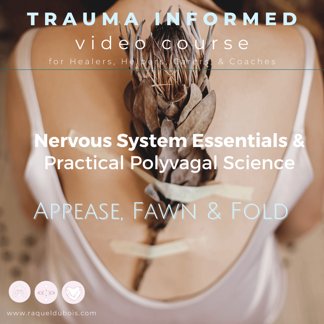 Trauma Informed Education for Coaches and Healers