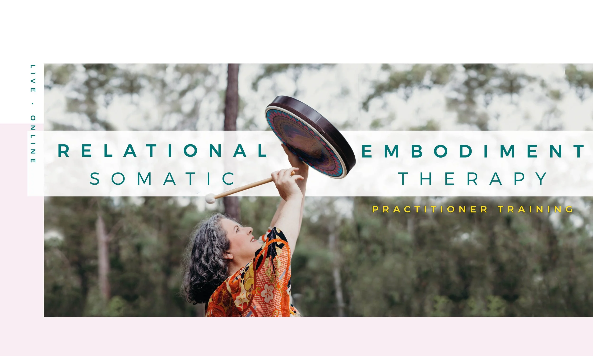 Somatic Trauma Informed Therapy Training