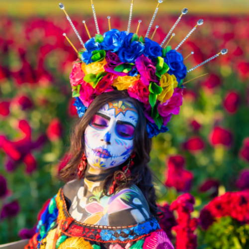 Events — Miranda Murray