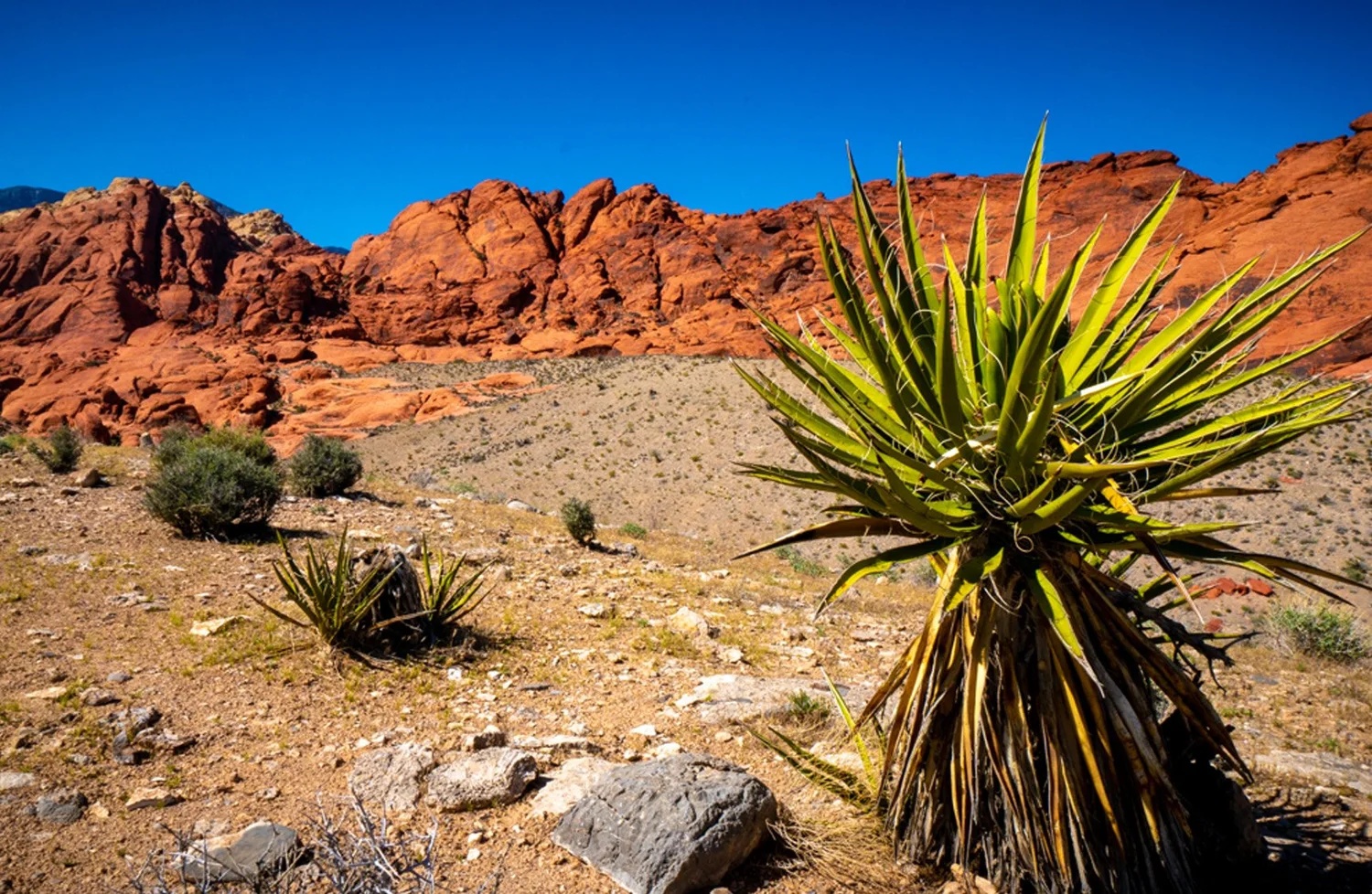 Southwest Road Trip Itinerary – Phoenix, Sedona, Antelope Canyon, Zion ...