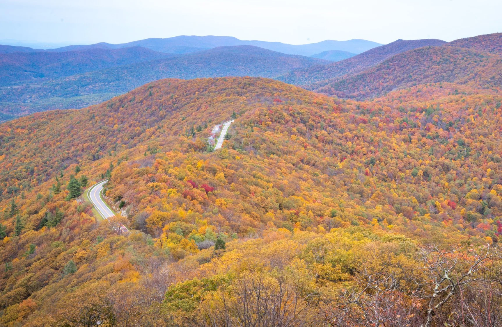 Hawksbill Summit Hike | Highest Point in Shenandoah National Park ...
