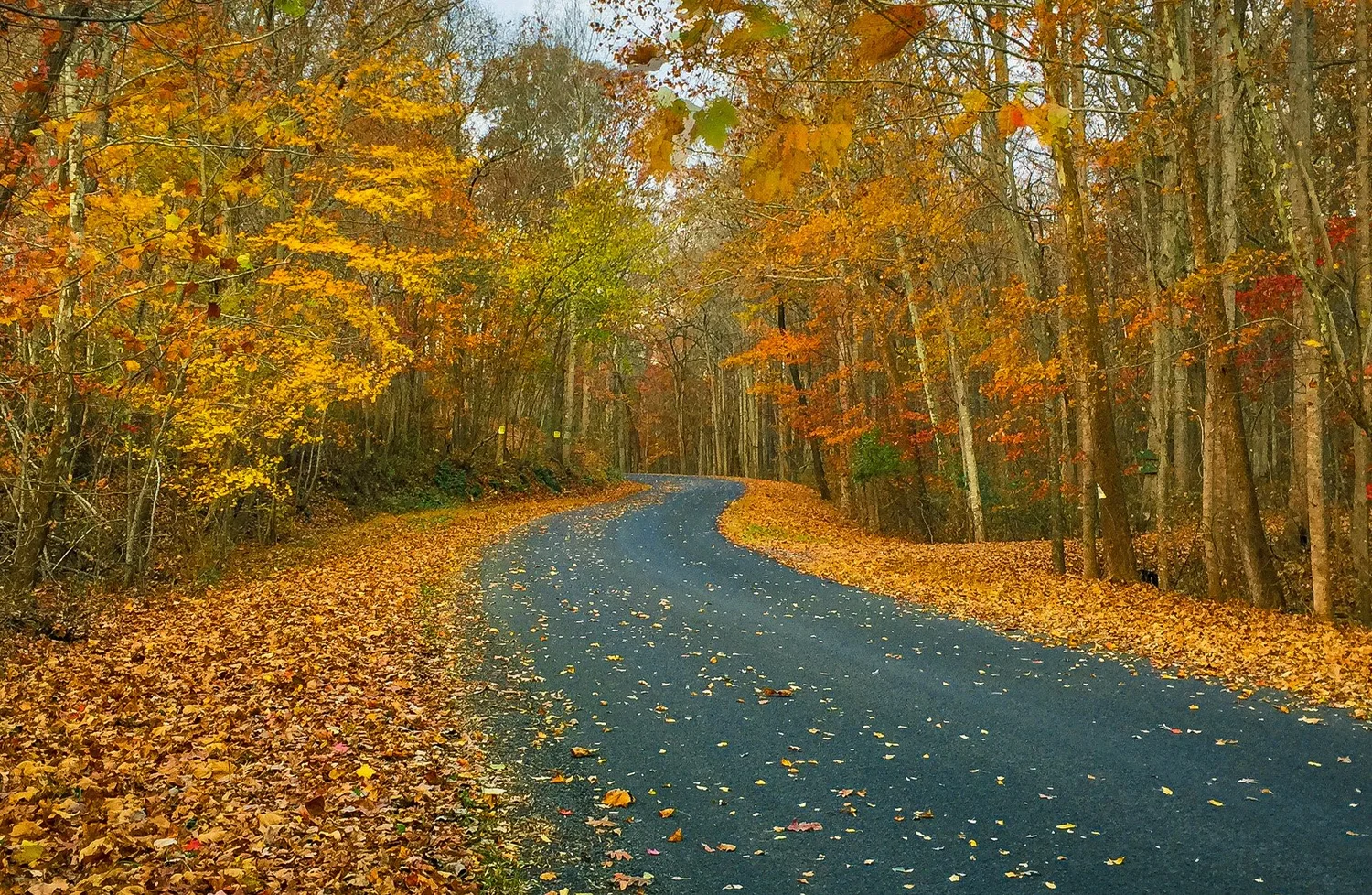 Best Scenic Drives Near Front Royal VA – Routes, Views & Hidden Gems ...