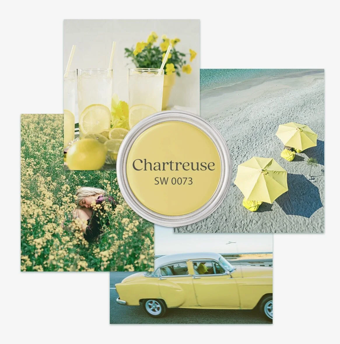 Chartreuse Design