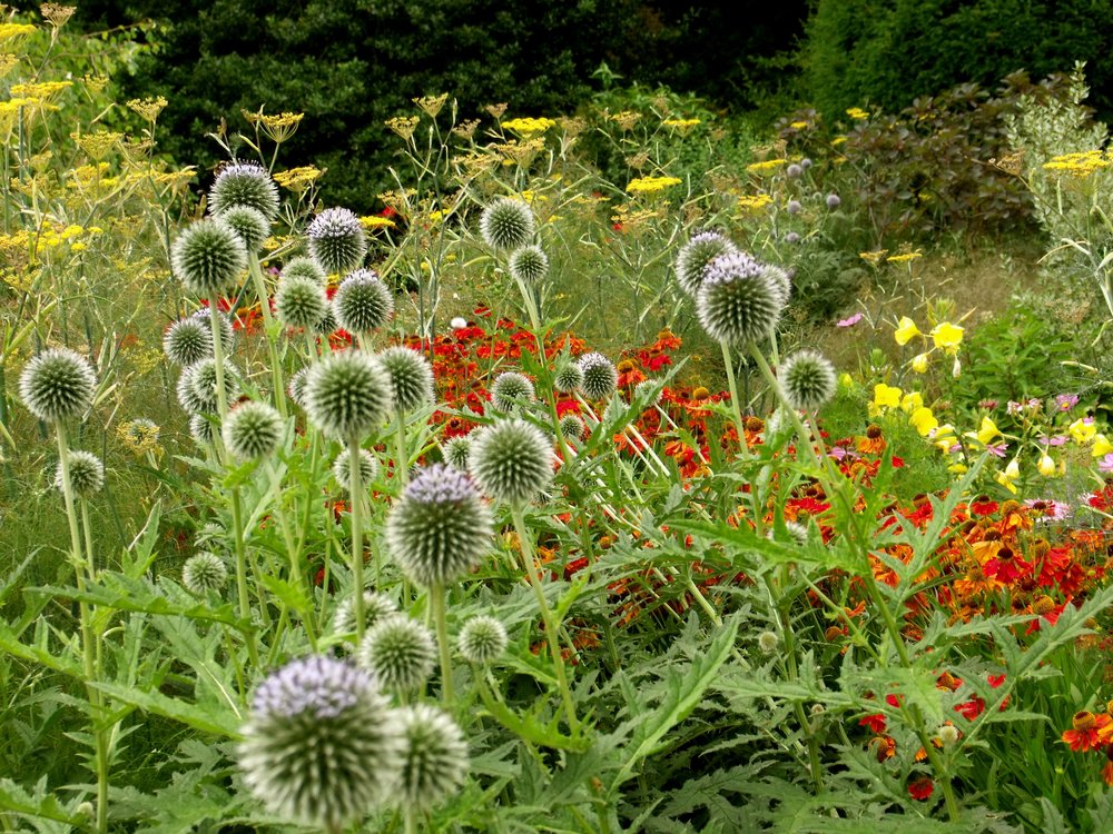 Wimbledon Common garden project — Henrietta Murray-Wicks Studio
