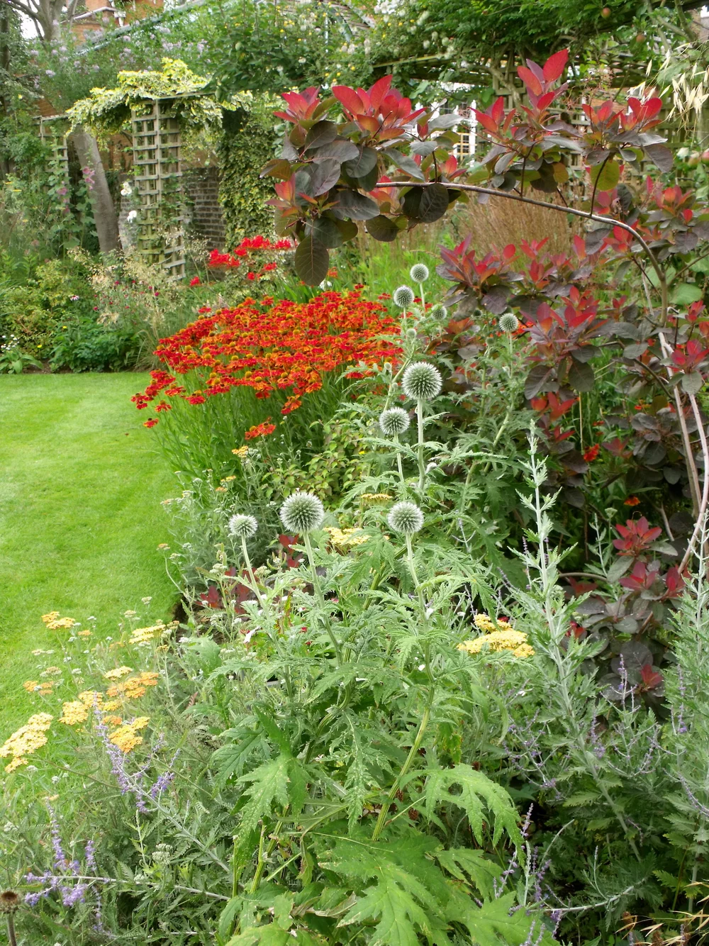 Wimbledon Common garden project — Henrietta Murray-Wicks Studio