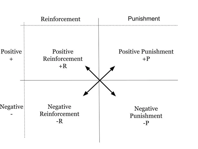 Operant Conditioning -- Why Your Dog Behaves the Way They Do — Connell ...