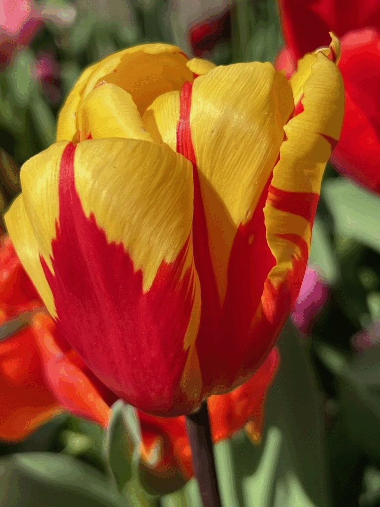 Lori Weitzner Assemblage