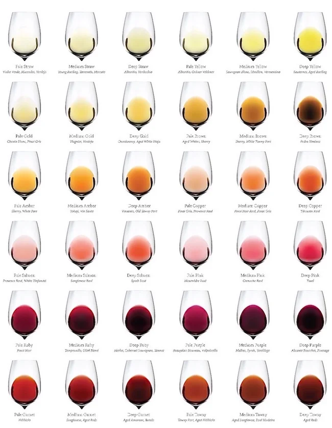 Wine — Colour Studies