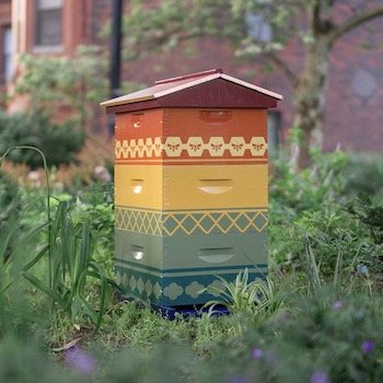 Bee Boxes — Colour Studies