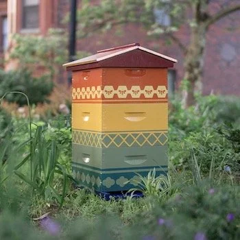 Bee Boxes — Colour Studies