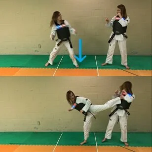 Kicks 차기 — North Battleford Taekwondo Academy