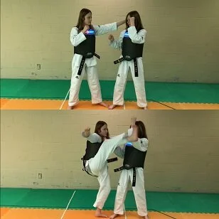 Kicks 차기 — North Battleford Taekwondo Academy