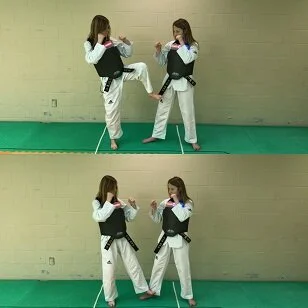 Kicks 차기 — North Battleford Taekwondo Academy