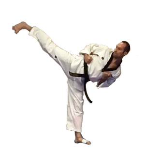 Basic Kicks 기본 발 차기 기술 — North Battleford Taekwondo Academy
