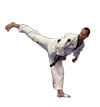 Basic Kicks 기본 발 차기 기술 — North Battleford Taekwondo Academy